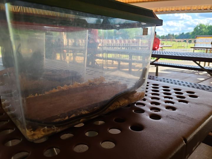 Butler County Parks and Recreation - Butler County Parks and Recreation